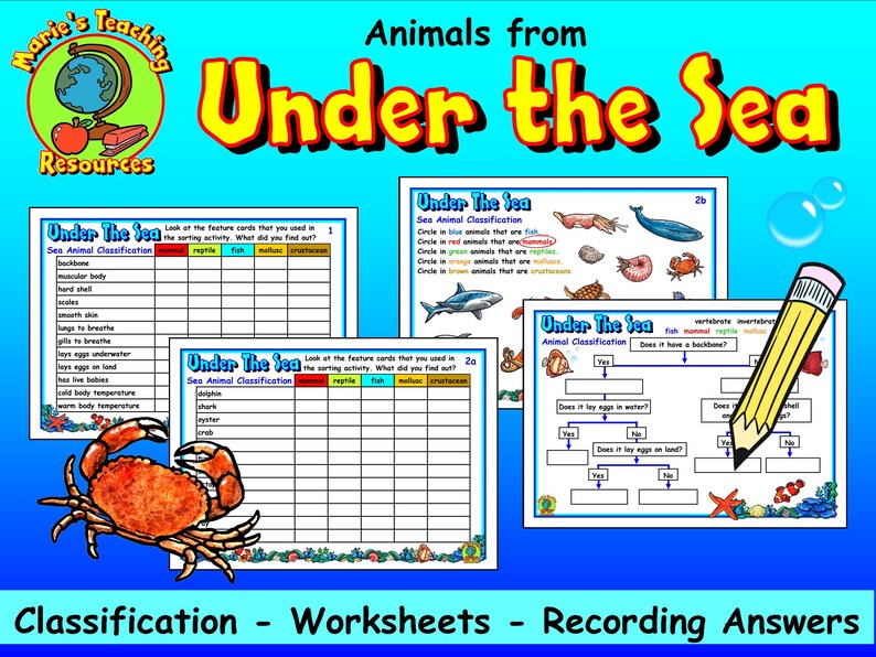 Sea Ocean Animal Classification Sorting Matching Activity, Science ...