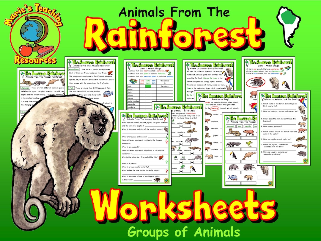 Amazon Rainforest Animals Worksheets, Science Animal Classification ...