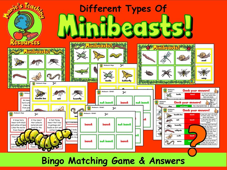 Minibeasts Insects Bingo Game, Minibeasts Insects Matching Activity ...
