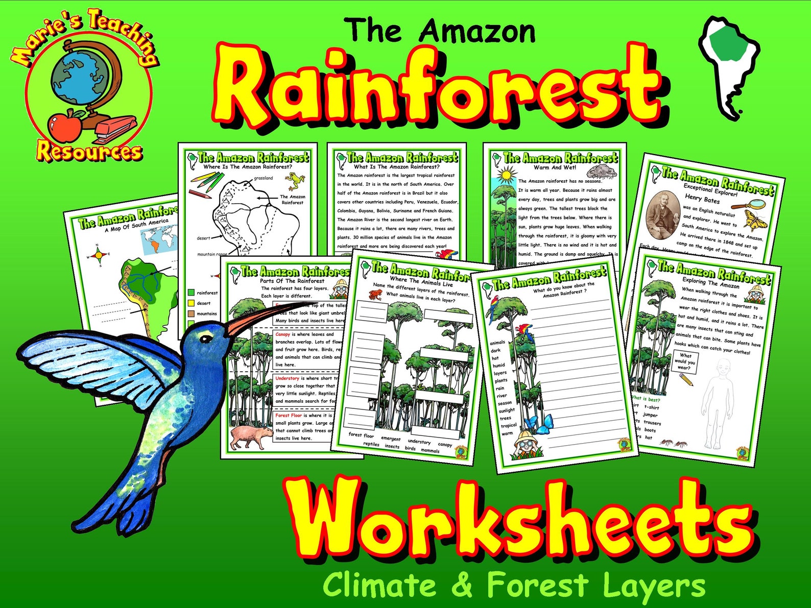 Amazon Rainforest Worksheets, Geography Climate and Environment ...