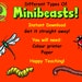 Minibeasts Insects Worksheets, Minibeasts Insects Features Habitats ...