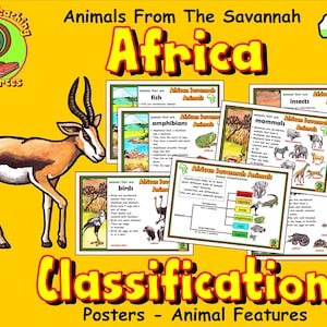 Animals From Africa Classification Posters, Animals Visual Aid Posters ...