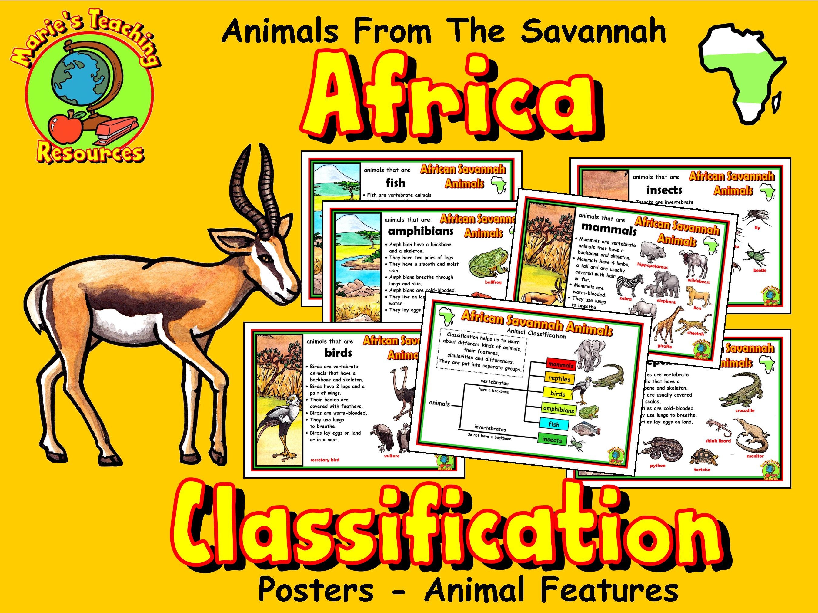 Animals From Africa Classification Posters, Animals Visual Aid Posters ...