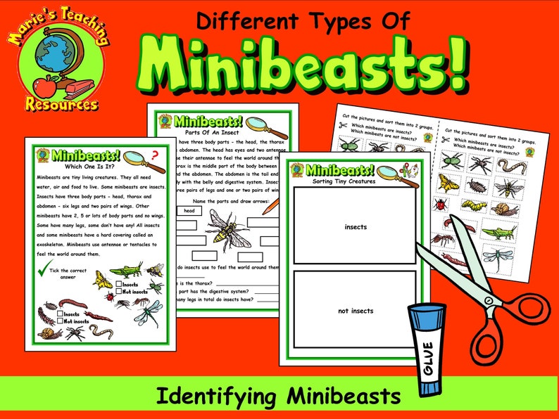 Minibeasts Insects Worksheets, Minibeasts Insects Features Habitats ...