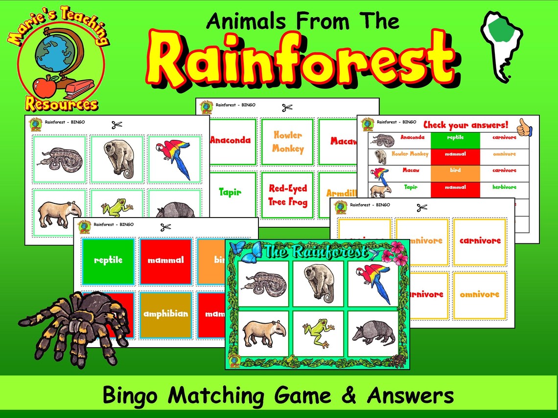 Amazon Rainforest Animals Bingo Game, Rainforest Animals Matching ...
