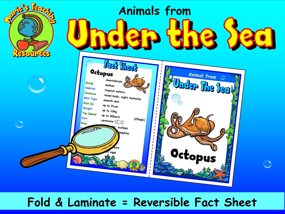 Under the Sea Fact Sheets, Ocean Sea Animals Visual Aid Posters, Ocean ...