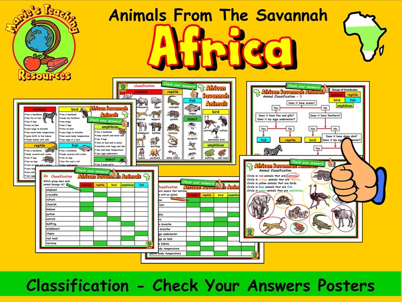 Animals From Africa Classification Sorting Activity Animals - Etsy