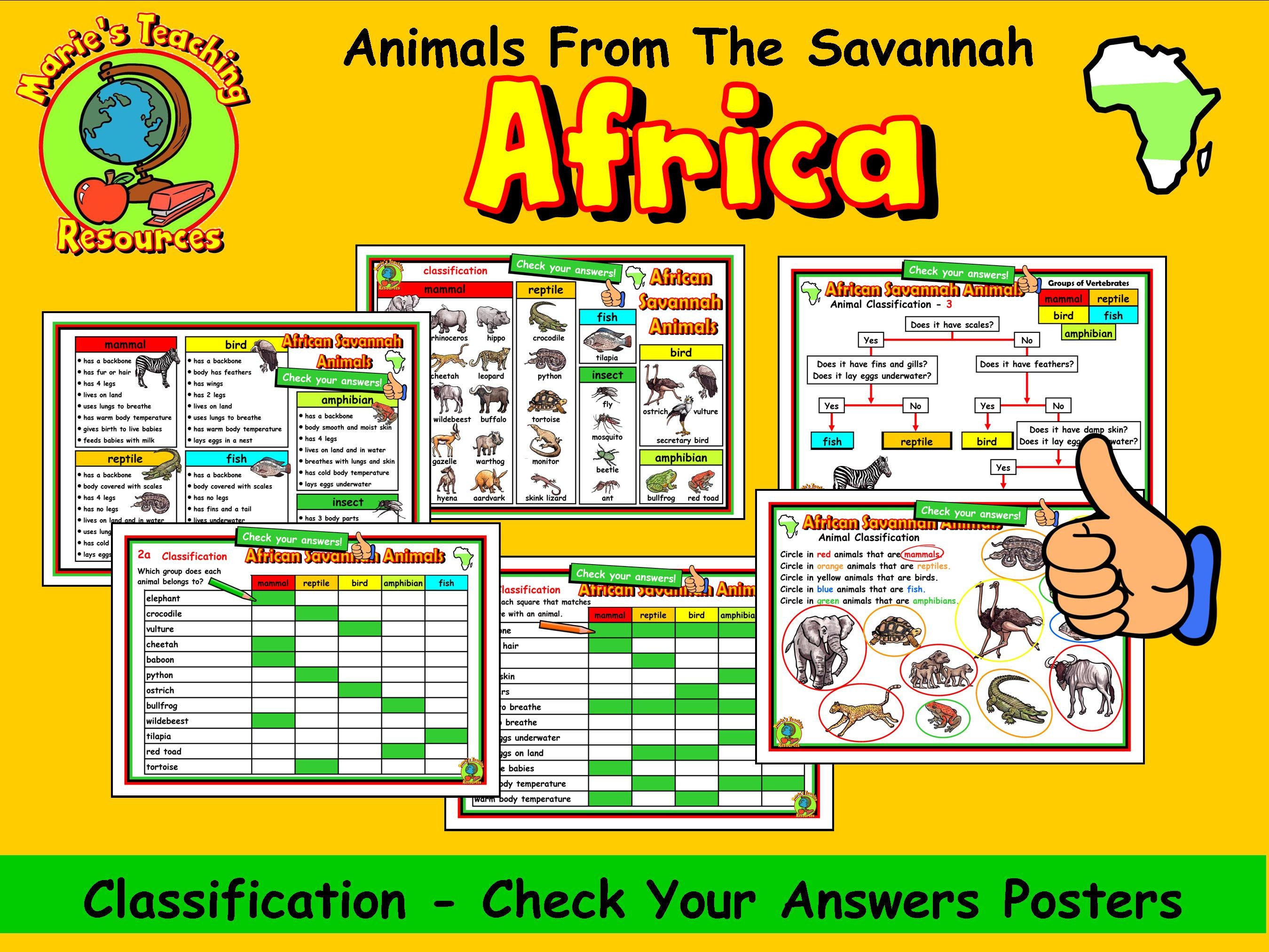 Animals From Africa Classification Sorting Activity, Animals Teaching ...