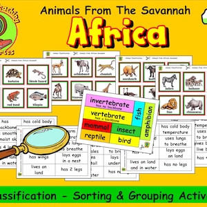 Animals From Africa Classification Sorting Activity, Animals Teaching ...