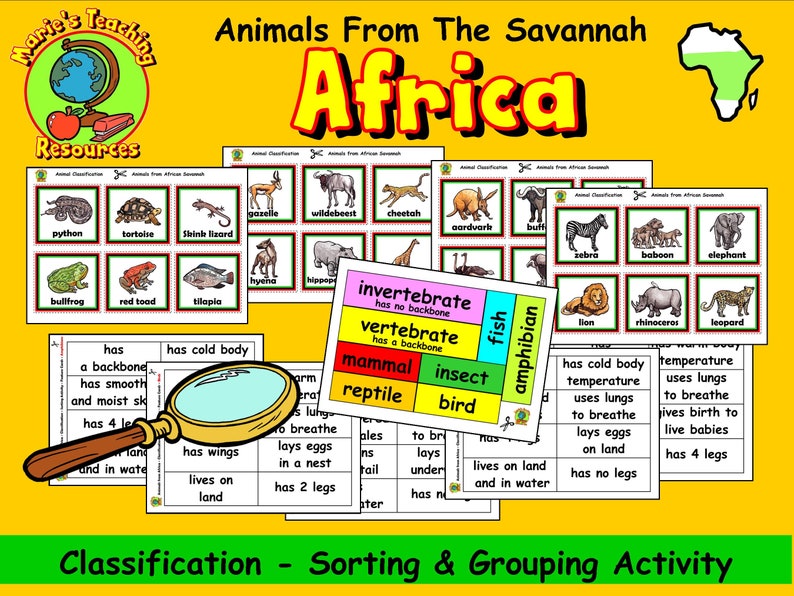 Animals From Africa Classification Sorting Activity, Animals Teaching ...