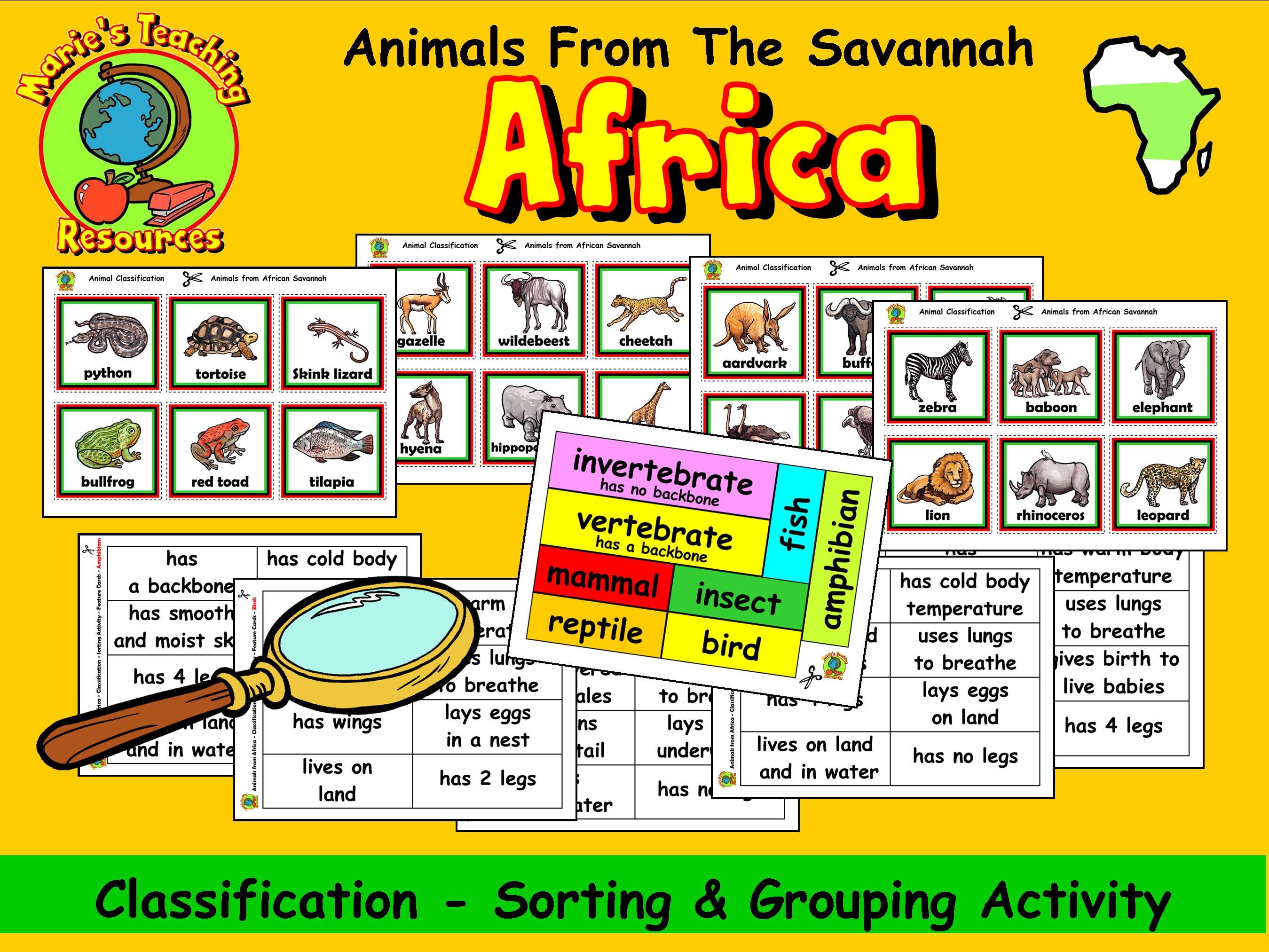 Animals From Africa Classification Sorting Activity, Animals Teaching ...