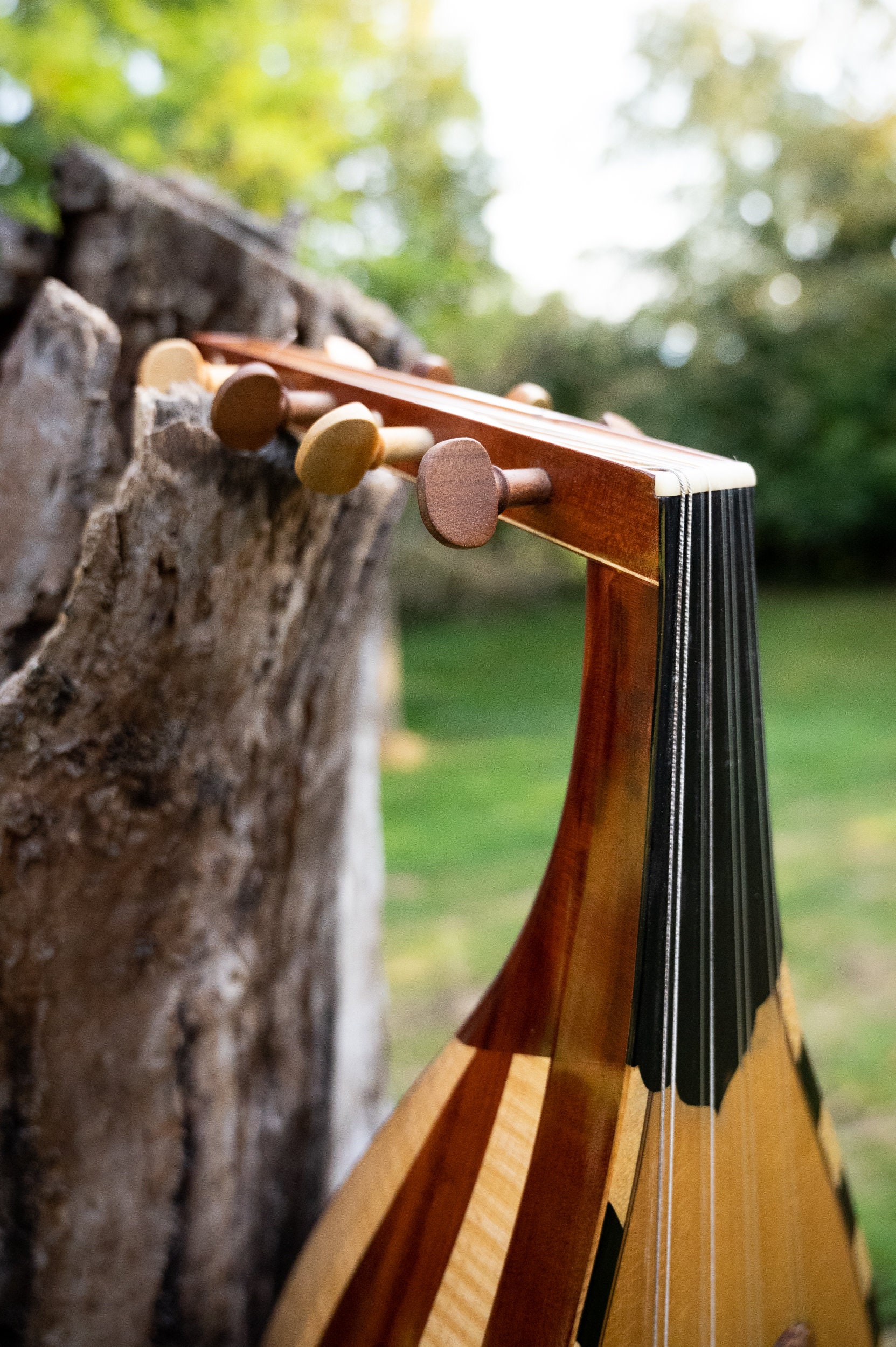 Koboz, Cobza, Lute Traditional Hungarian Romanian Folkinstrument ...