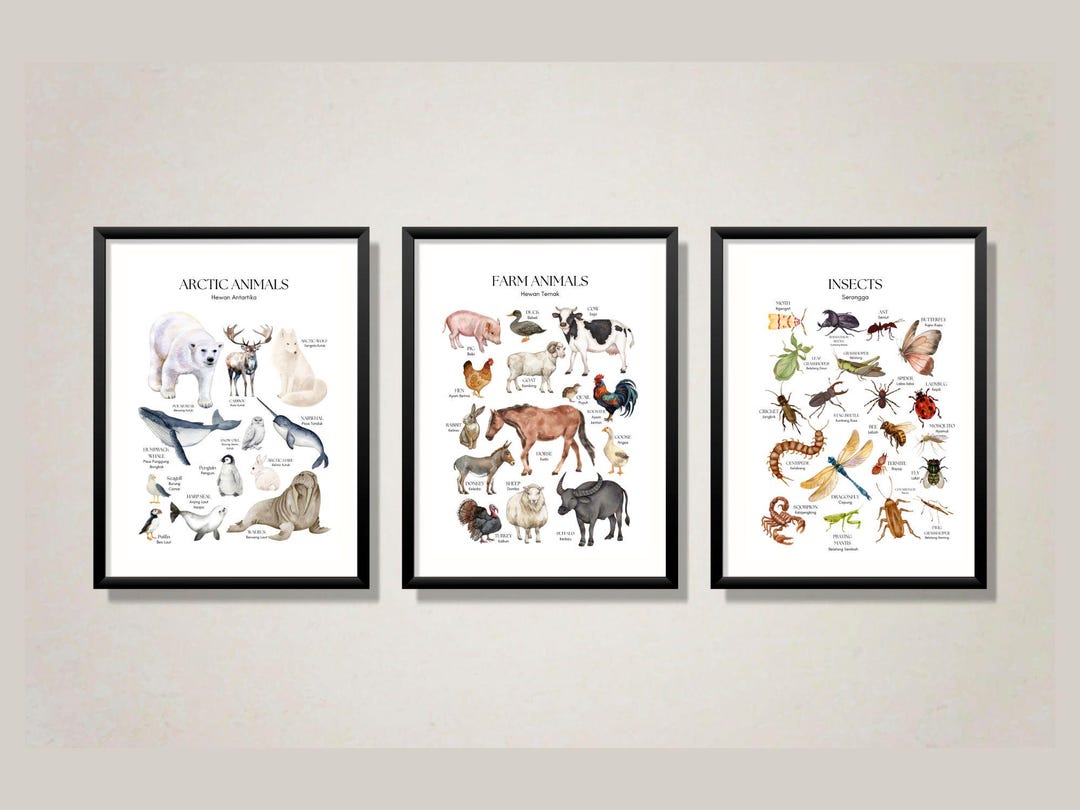 Animals Educational Poster - Montessori-inspired Learning Decor for ...
