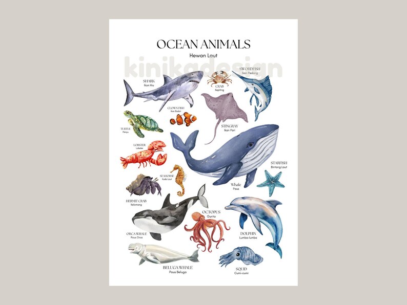 Animals Educational Poster - Montessori-inspired Learning Decor for ...