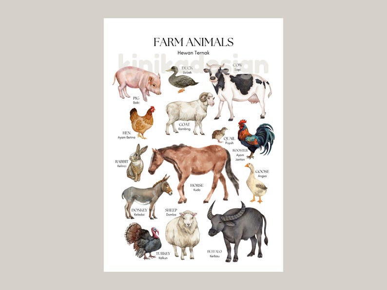 Animals Educational Poster - Montessori-inspired Learning Decor for ...