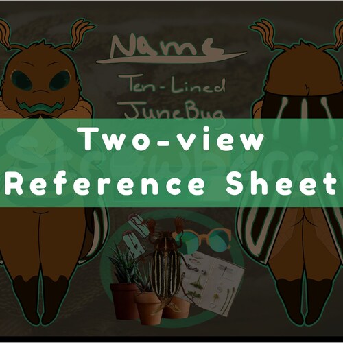 Reference Sheet Commissions digital Animal OC Furry - Etsy