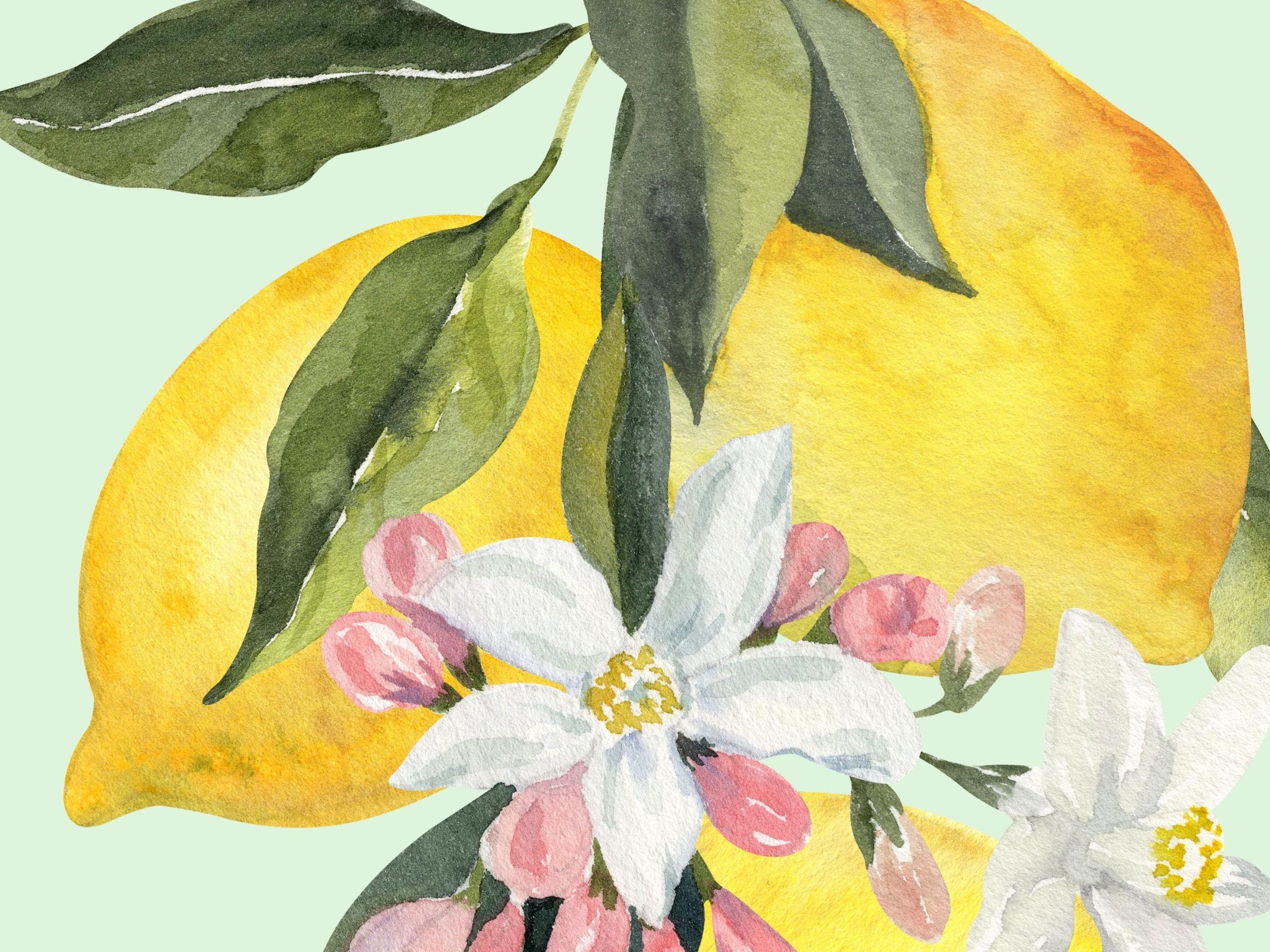 Lemon Print Wall Art Printable Wall Art Cottagecore Decor - Etsy