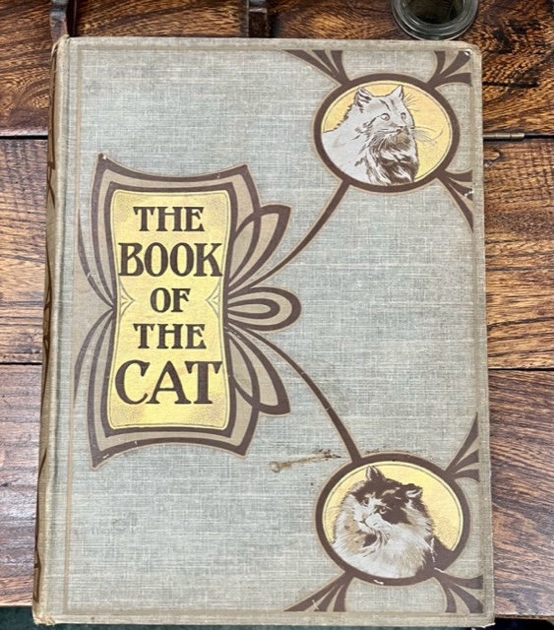 The Book of the Cat by Frances Simpson, First Edition, 1903, Fabulous ...