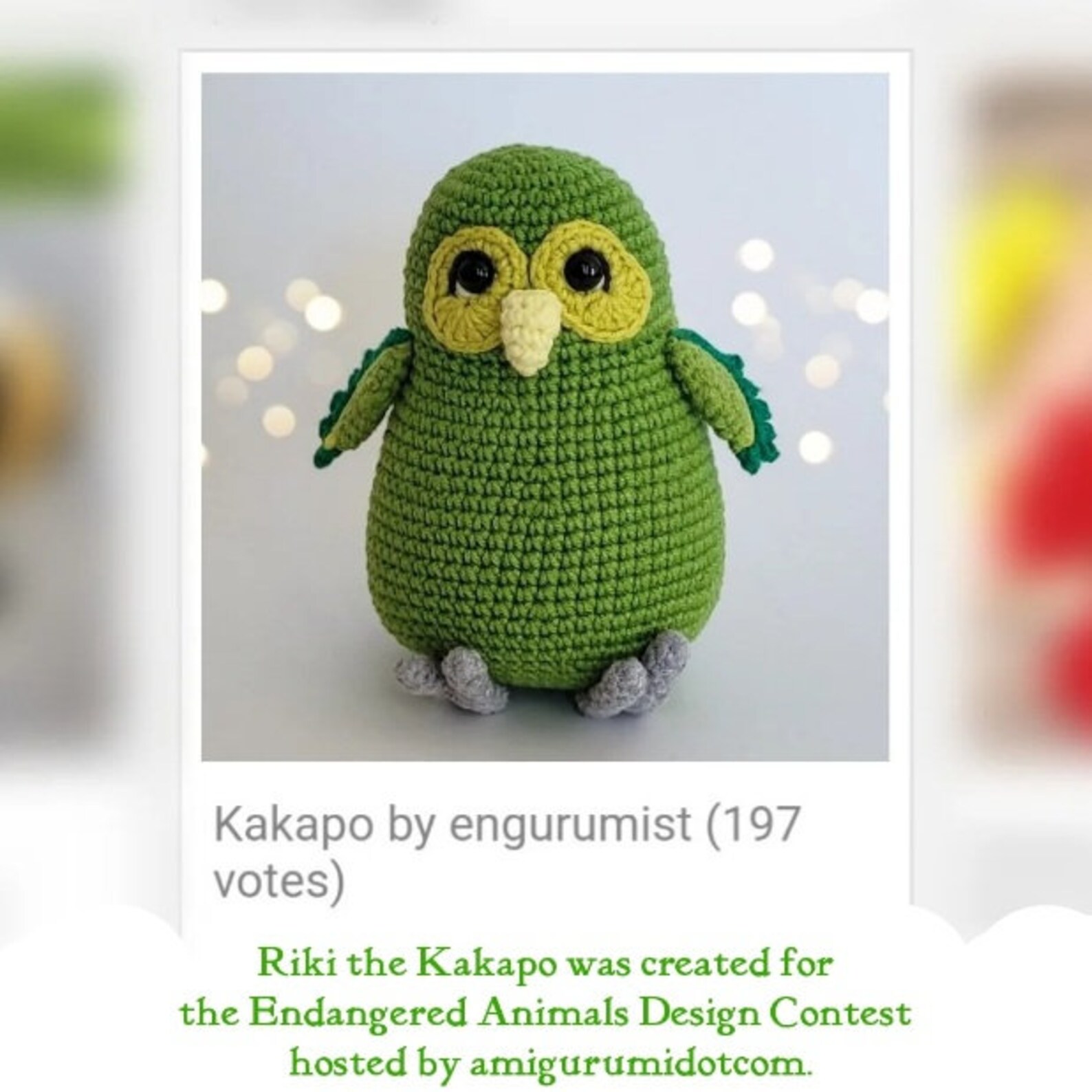 Riki the Kakapo PDF Pattern - Etsy