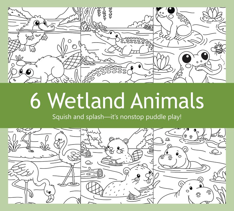 Forest and Wetland Animal Coloring Pages | Fun Activity | Cute and ...