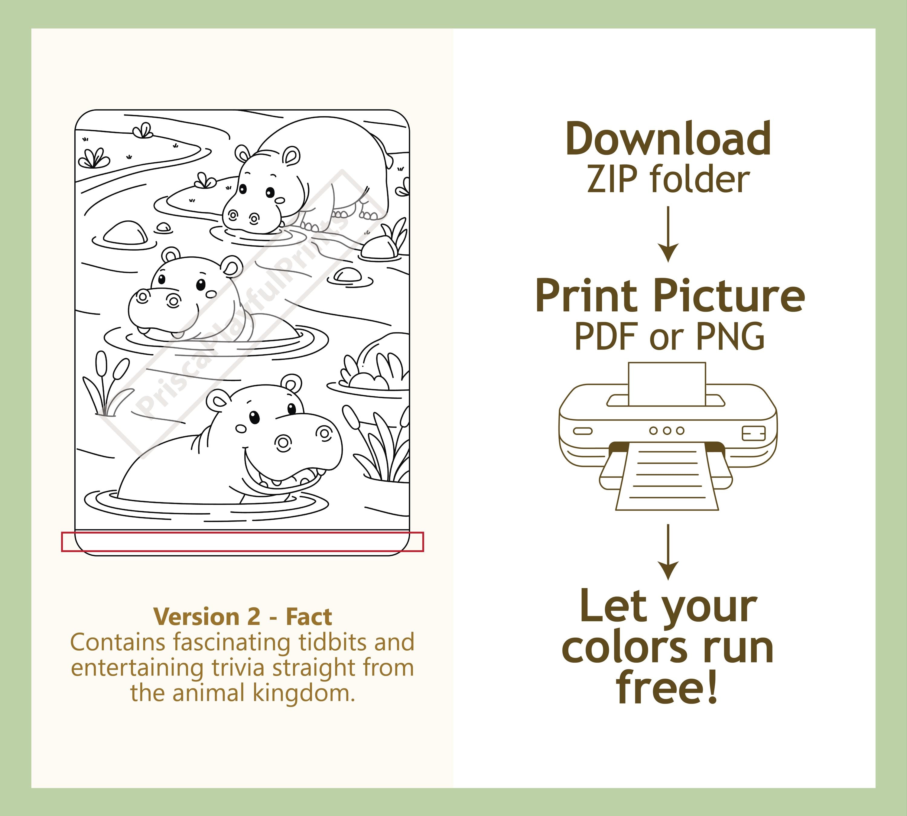 Forest and Wetland Animal Coloring Pages | Fun Activity | Cute and ...