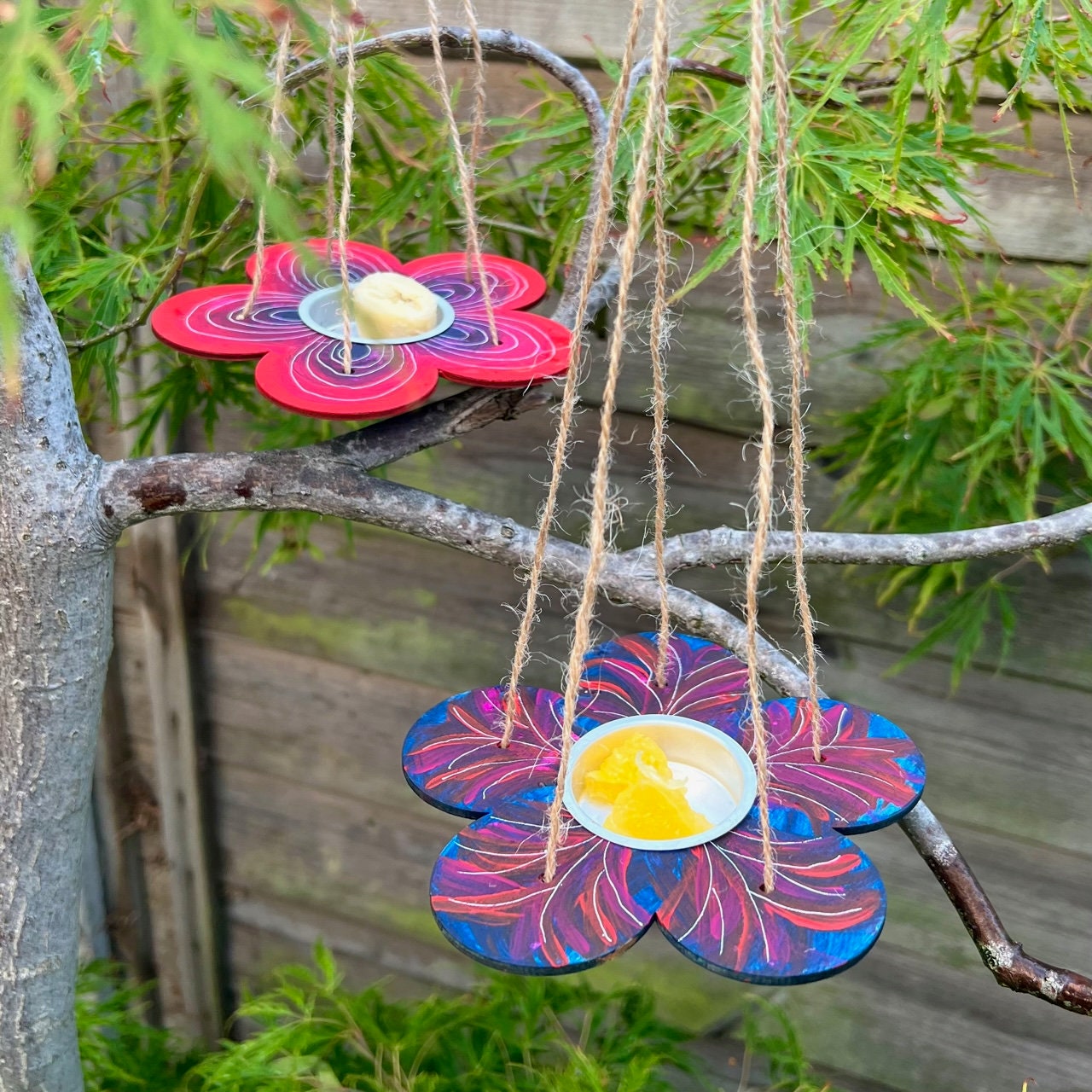 Butterfly Feeder Craft Kit | Children's Garden Project - Etsy UK