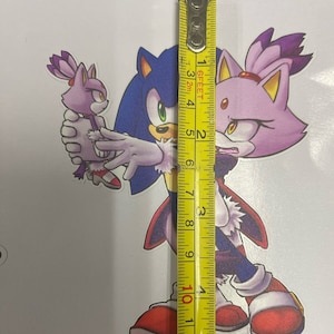 Sonic and Blaze | Sonic the Hedgehog Sticker, Decal, Laptop Sticker ...