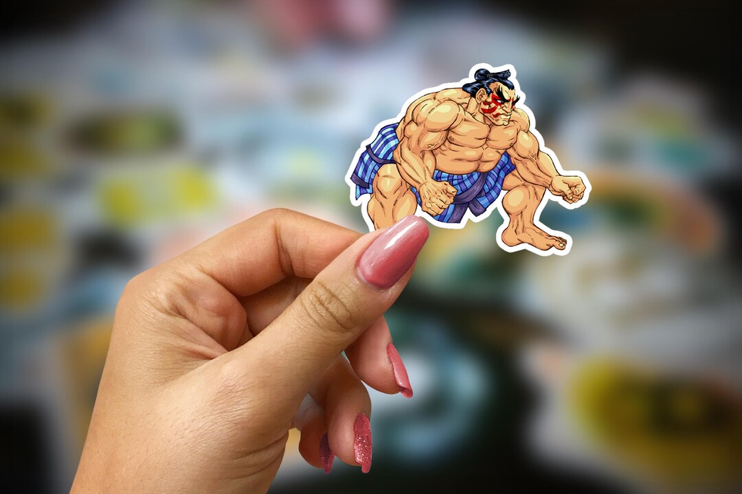 EHONDA Street Fighter Sticker Decal Laptop Sticker Water Bottle Sticker ...