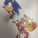 AMY ROSE | Sonic the Hedgehog Sticker, Decal, Laptop Sticker, Water ...