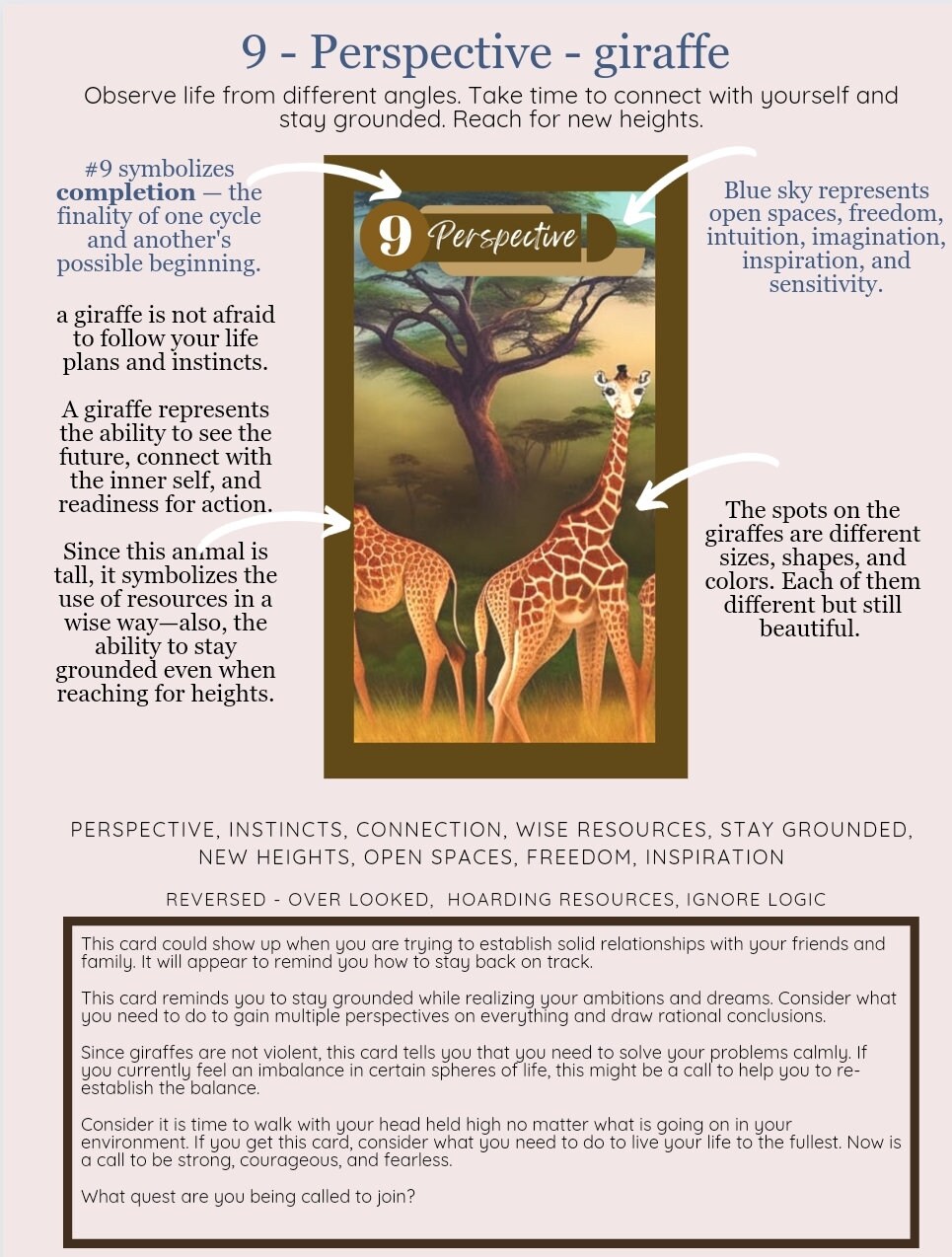 Spirit Animal Oracle Deck With Guidebook, Digital Download Instant ...