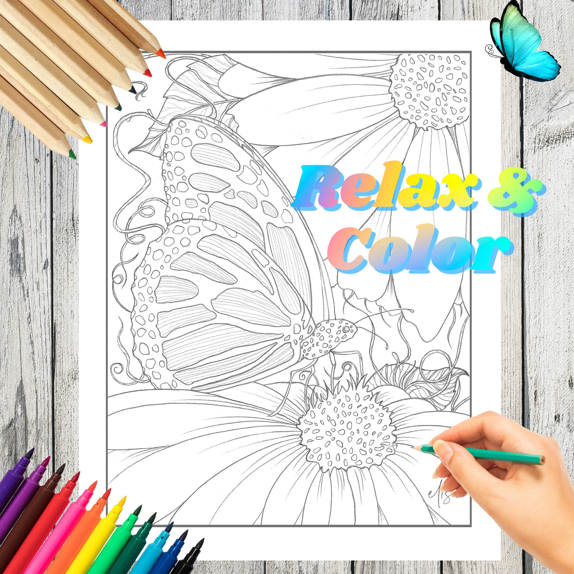 Butterfly Design Coloring Page - Original Hand Drawn Art by Elisa ...