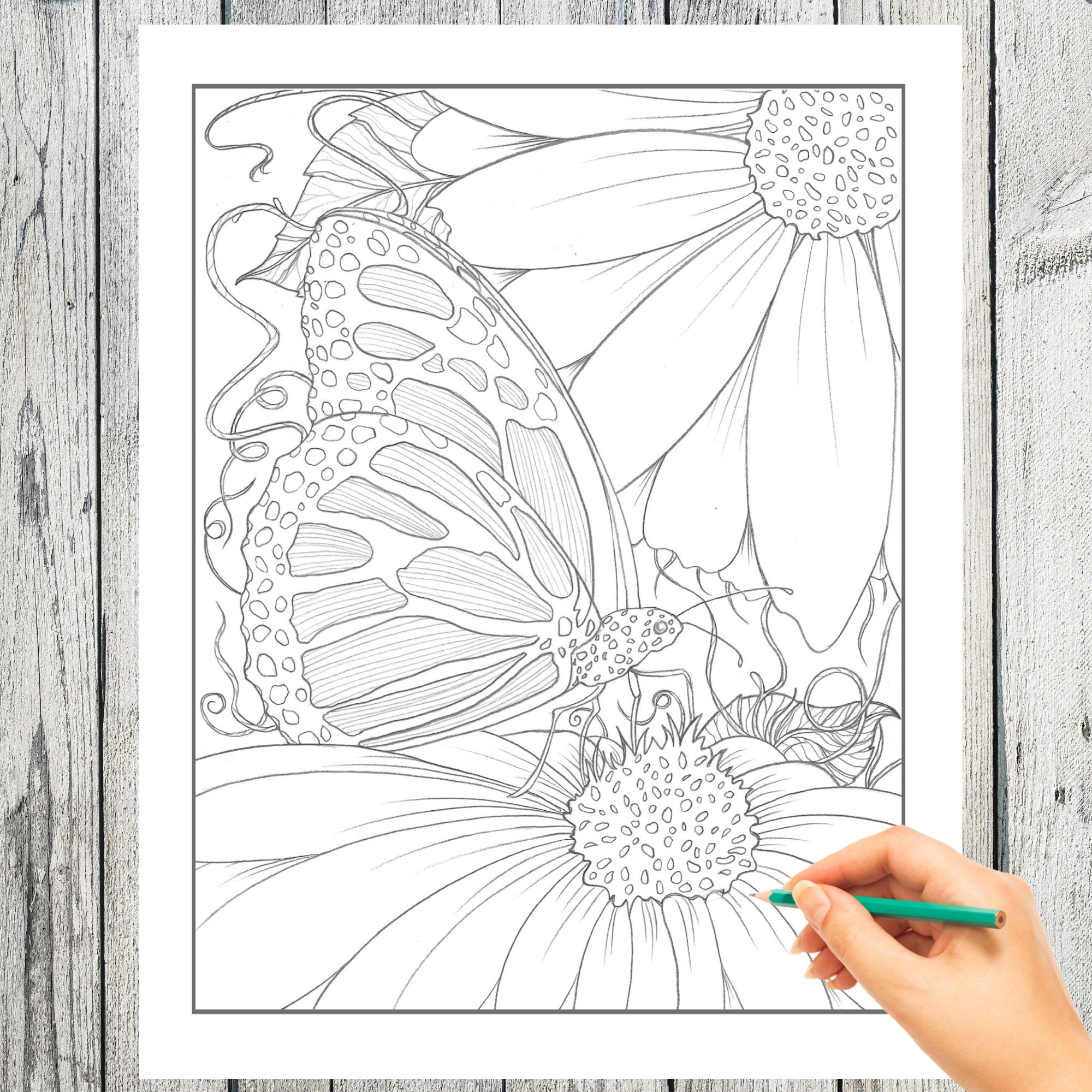 Butterfly Design Coloring Page - Original Hand Drawn Art by Elisa ...