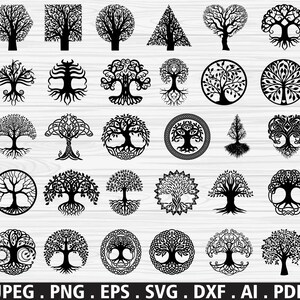 Tree Svg Bundle, Tree Silhouette Svg Bundle, Tree of Life Svg Bundle ...