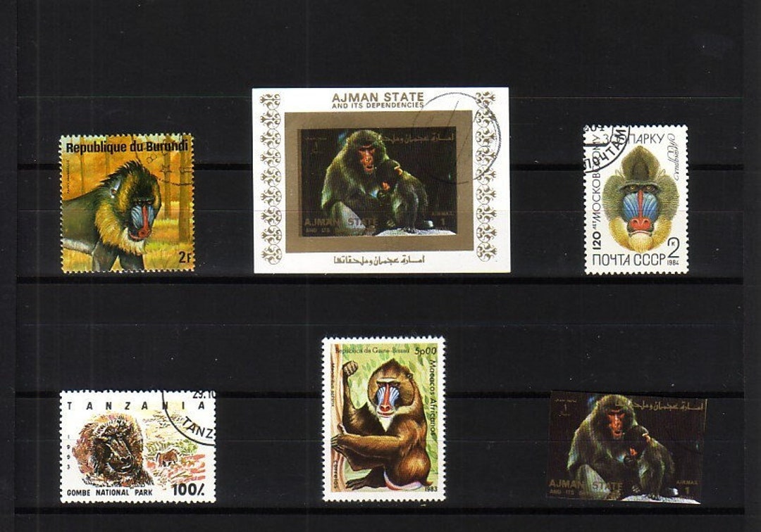 Mandrill Monkeys Stamps - Etsy