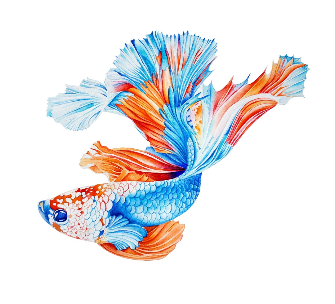 Tropical Fish Painting Original · Fish Watercolor Art · Fish Wall Art ...