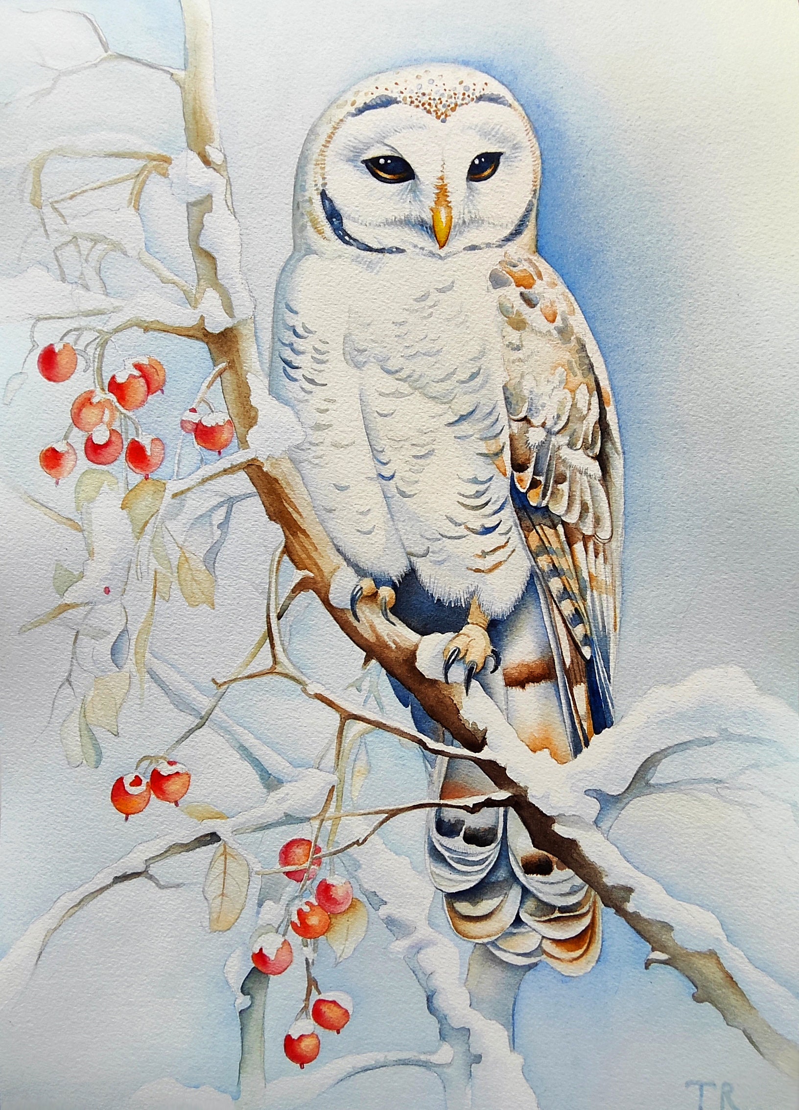 Snowy Owl Painting Original · Owl Watercolor Painting · Owl Wall Art ...