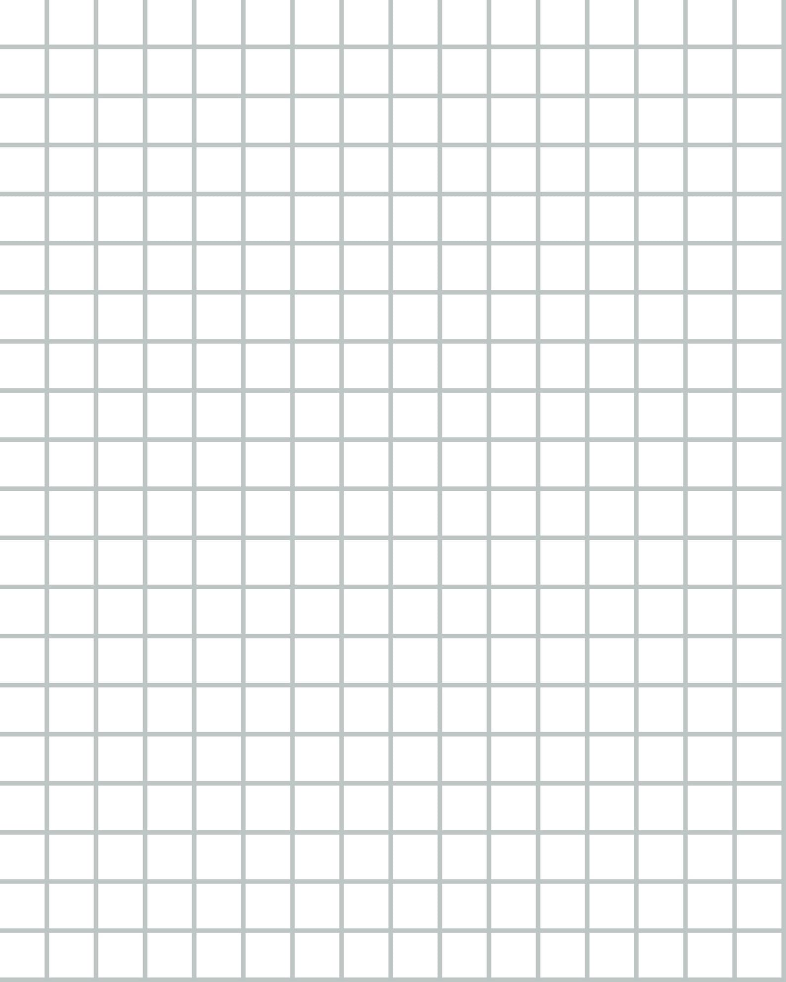 8x10 Graph Paper .50 Inch Digital File - Etsy
