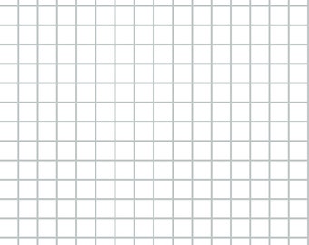 8x10 Graph Paper .25 Inch Digital File - Etsy UK