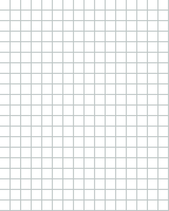 8x10 Graph Paper .50 Inch Digital File - Etsy