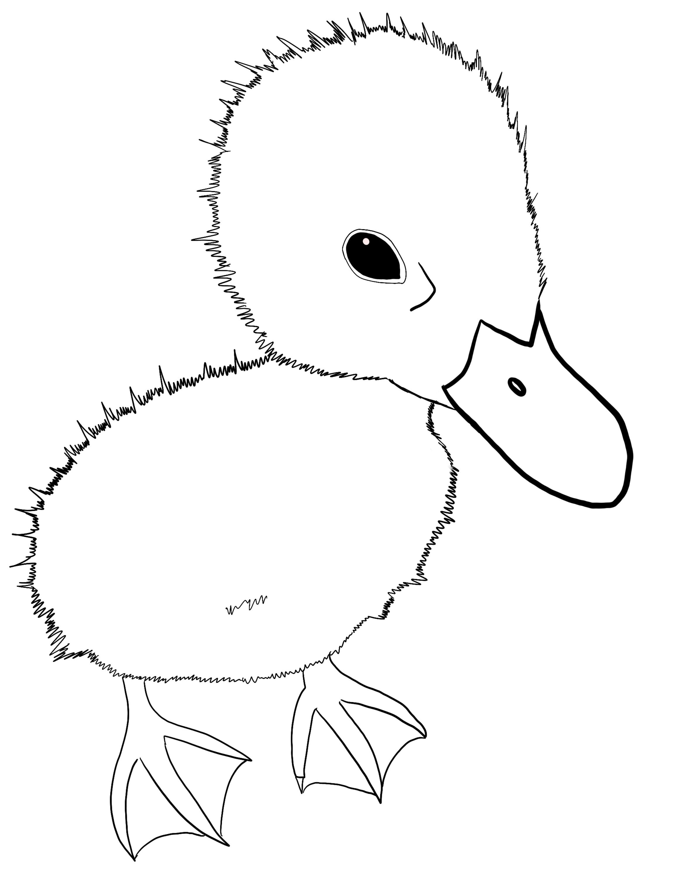 Set of 5 Digital Coloring Pages - Etsy