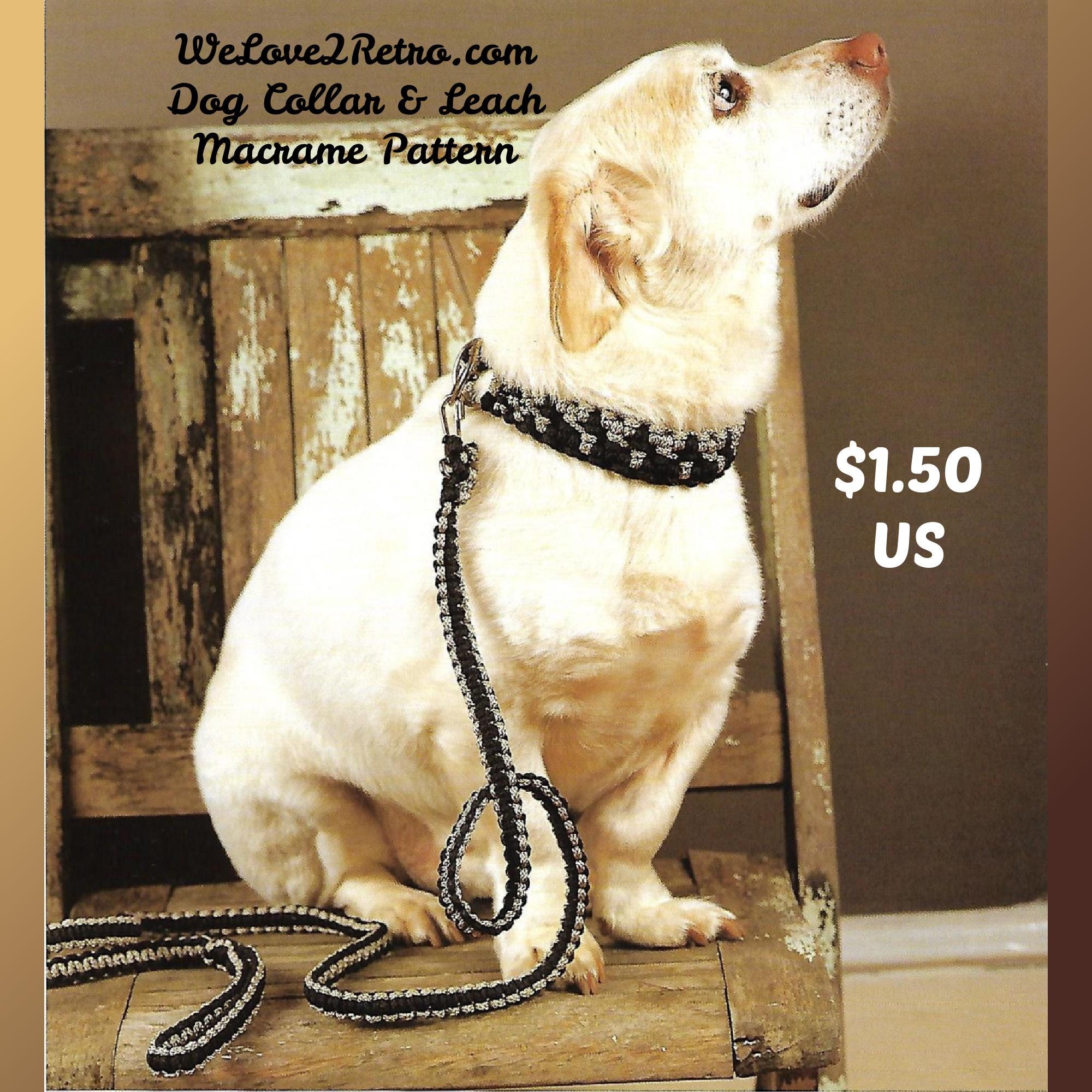 126 Dog Leash Macrame Patterns & Dog Collar Macrame Patterns 1 FREE ...