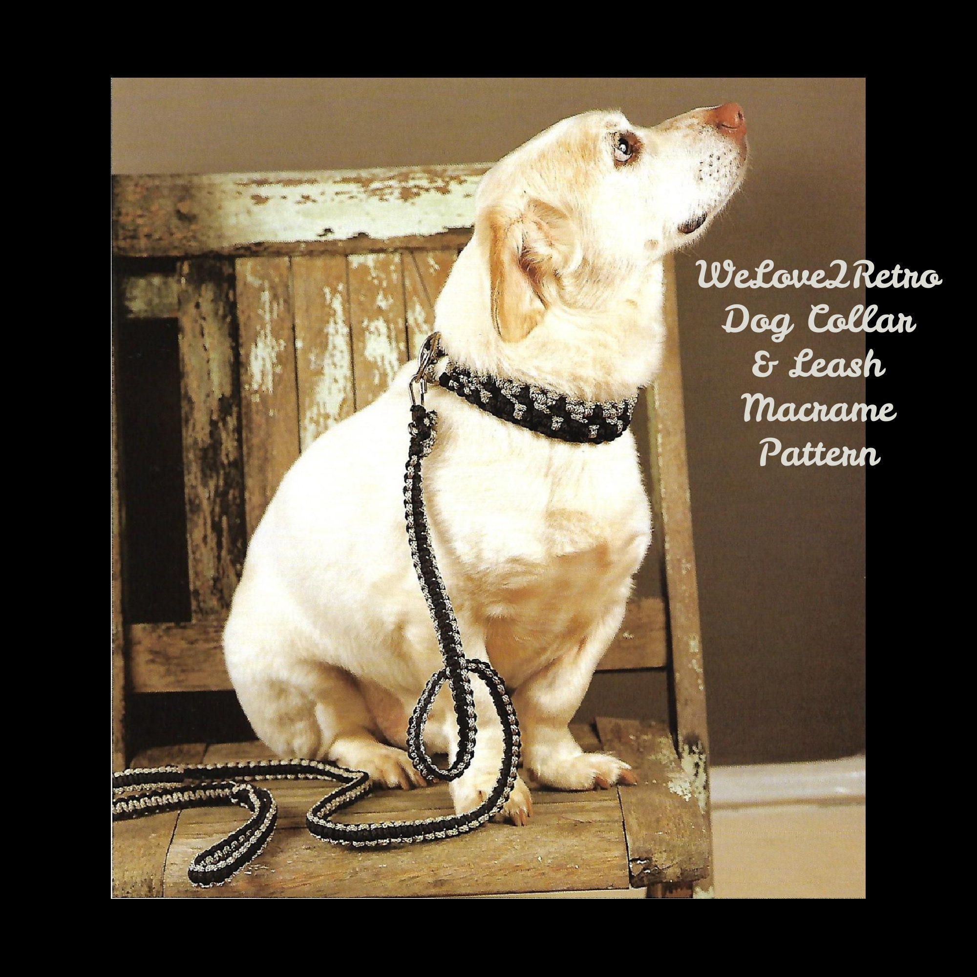 126 vintage Dog Leash & Collar MACRAME PATTERN, Macrame Patterns ...