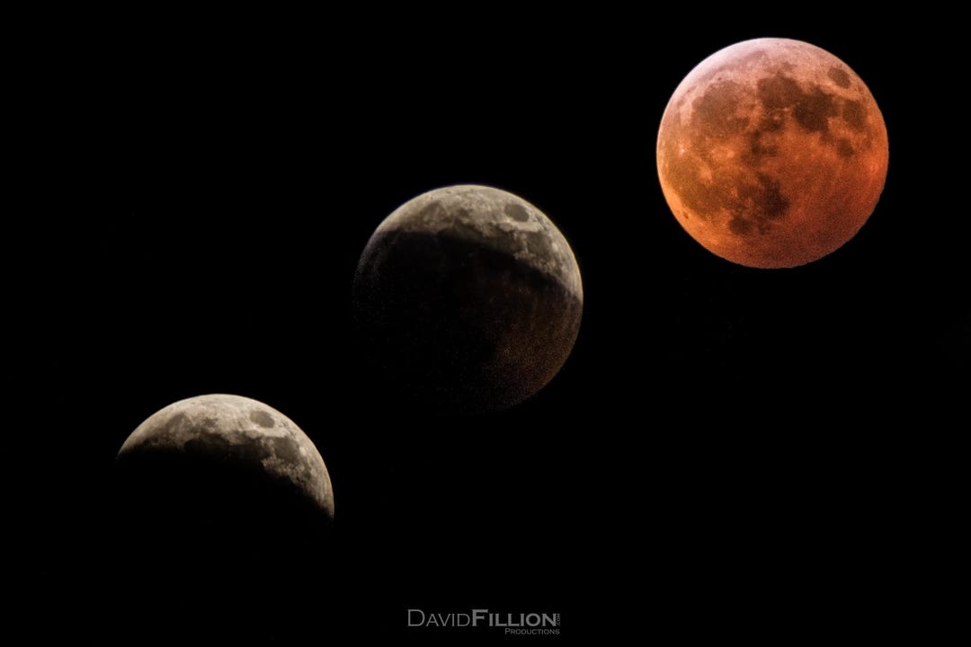 Hamilton / Lunar Eclipse - Super Blood Wolf Moon of 2019 Collage - Etsy