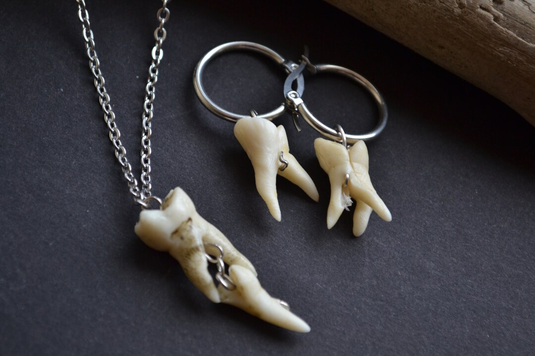 Teeth Earrings and Necklace Set, Human Tooth on Silver Chain, Handmade ...