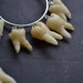 Gothic Teeth Earrings, Dangling Human Tooth, Handmade Molars, Oddities ...