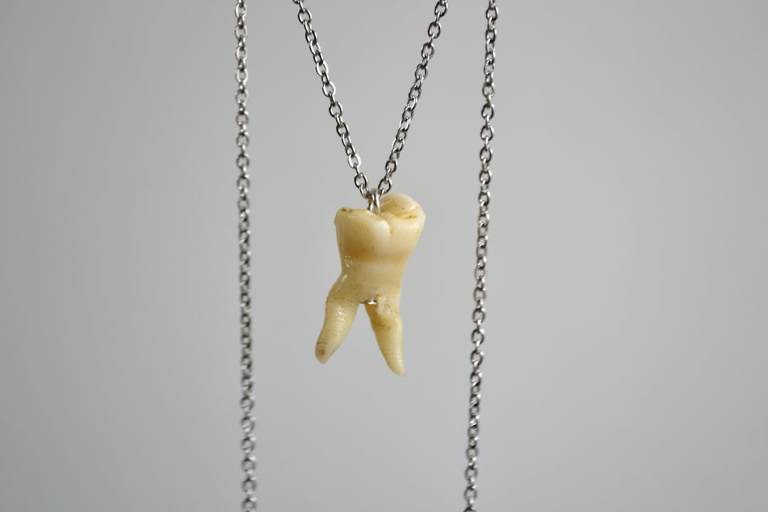 One Tooth Necklace, Human Molar on Silver Chain, Handmade Teeth ...