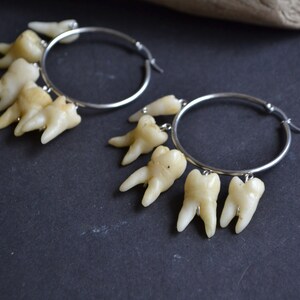 Gothic Teeth Earrings, Dangling Human Tooth, Handmade Molars, Oddities ...
