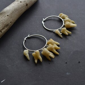 Gothic Teeth Earrings, Dangling Human Tooth, Handmade Molars, Oddities ...