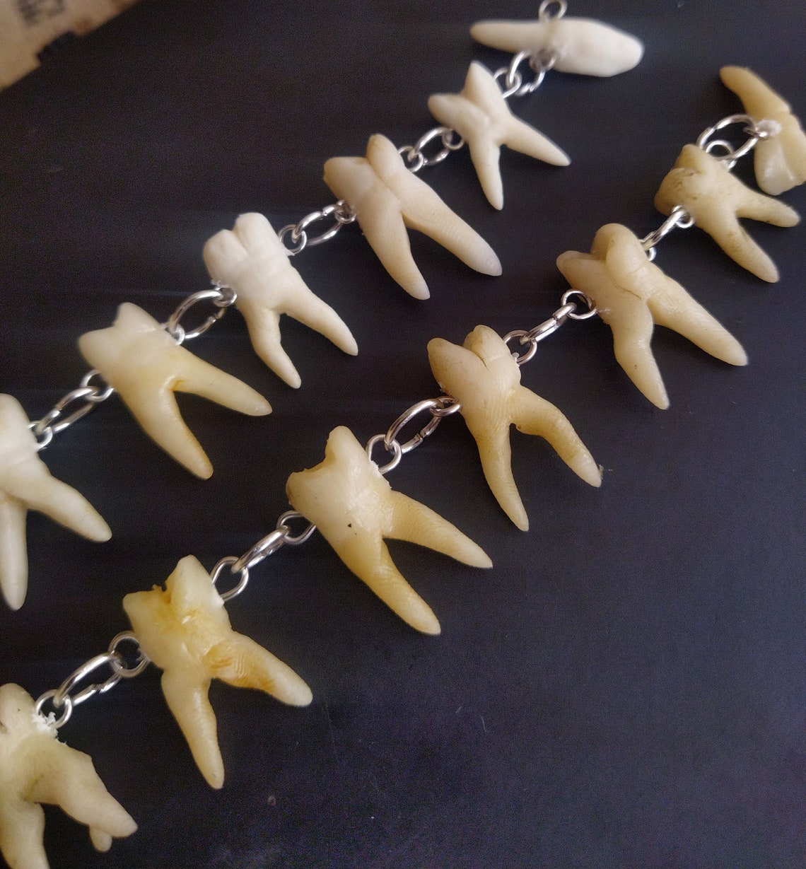 Gothic Teeth Necklace Human Tooth on Silver Chain Handmade - Etsy UK