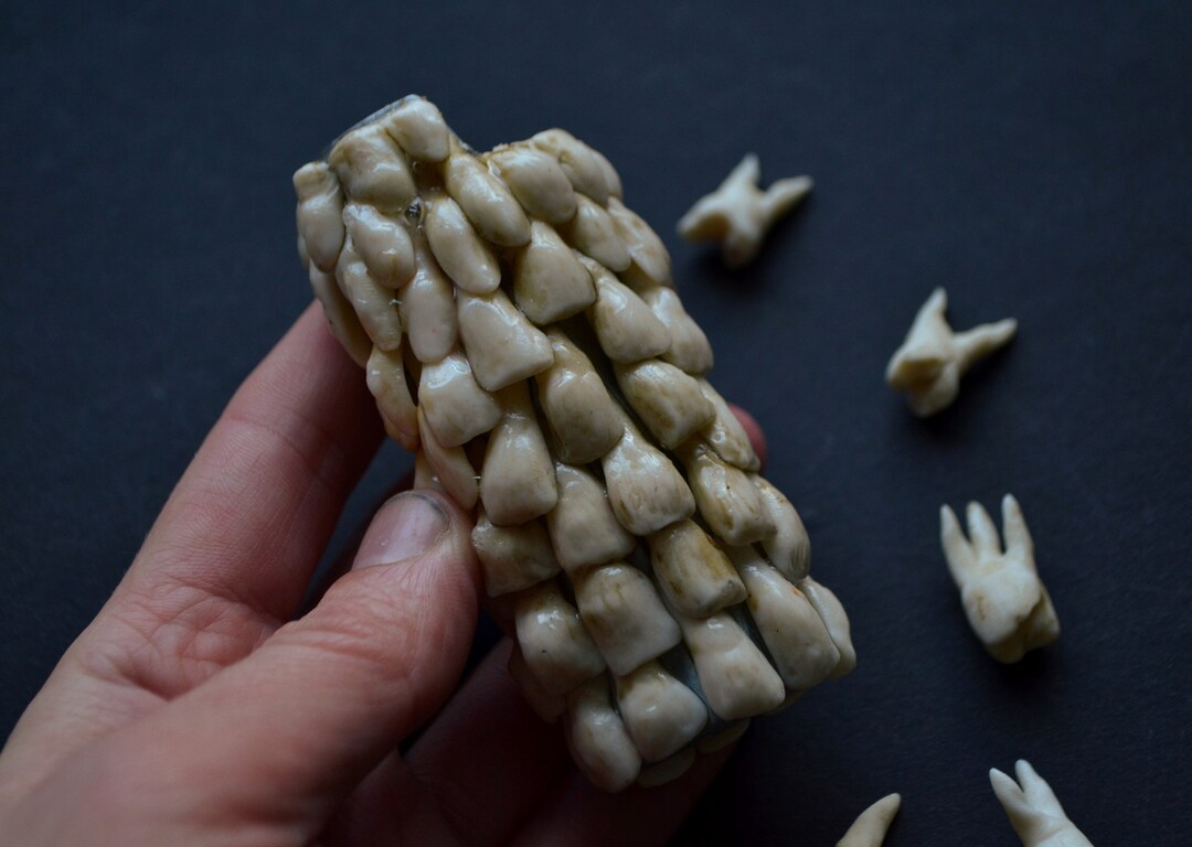 Handmade Toothy Lighter Sleeve Cover, Dark Aesthetic Accessory, Creepy ...